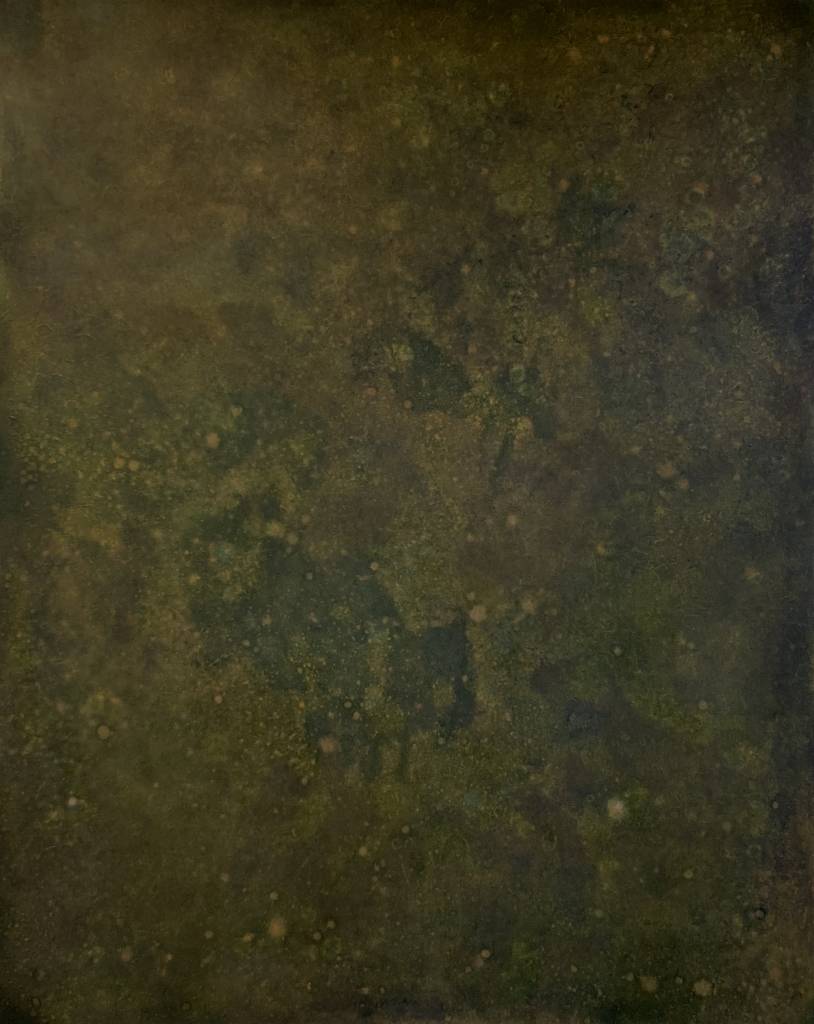 Laura Joy Lustig | Evolving forms