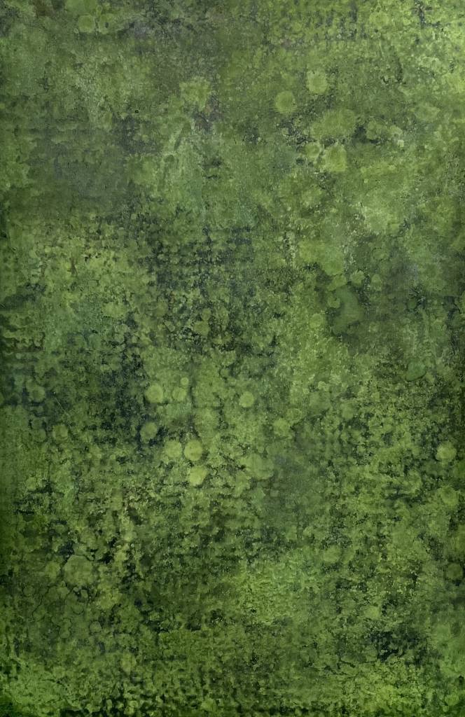 Laura Joy Lustig | Evolving forms